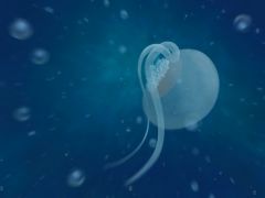 Multicellular Stage - Thrive Developer Wiki